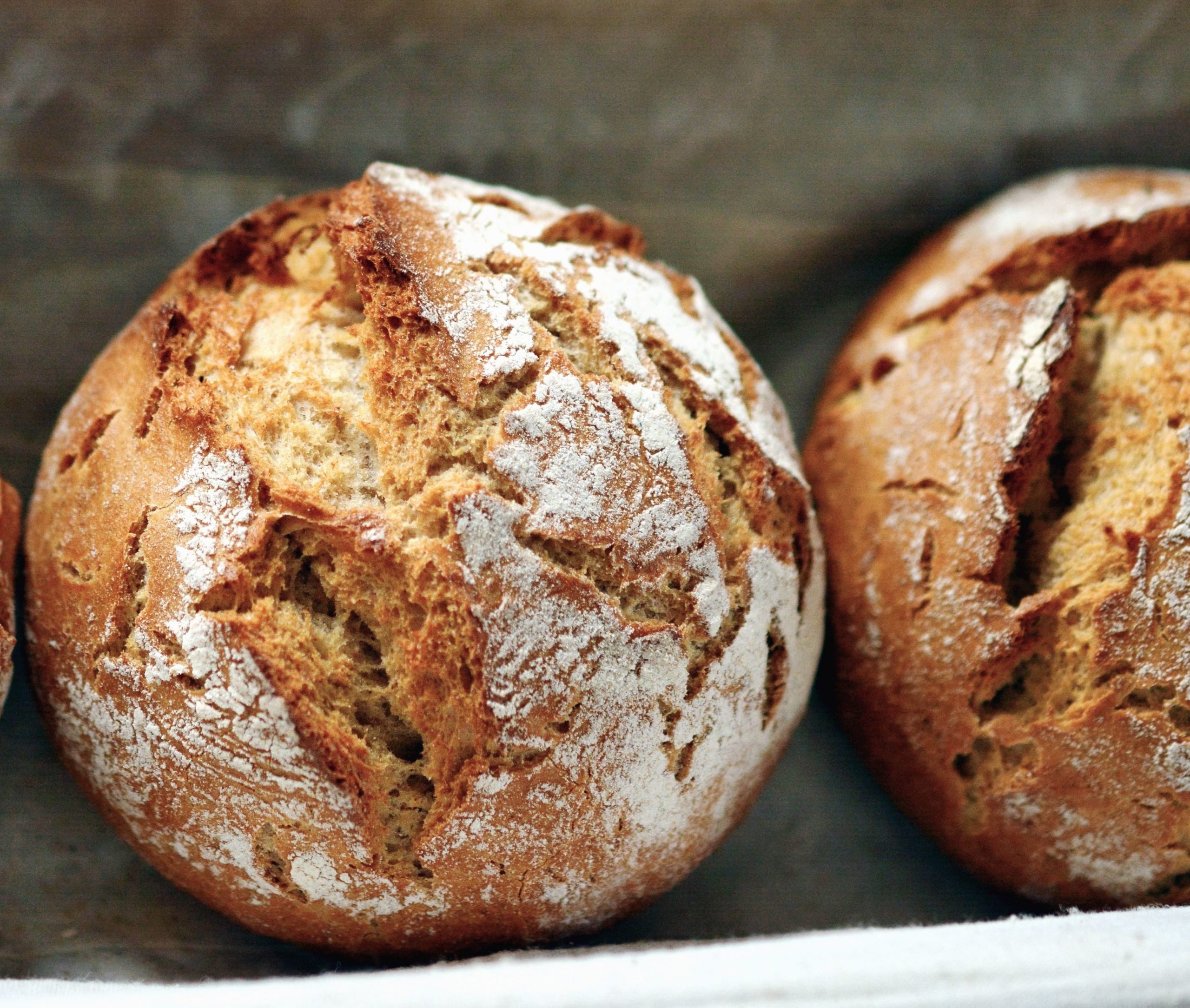 Emilia-Romagna: 100mila euro per valorizzare il pane - Foodcommunity